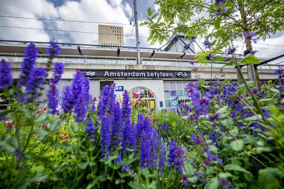 Stationsplein Lelylaan in Amsterdam | SIGHT Landscaping